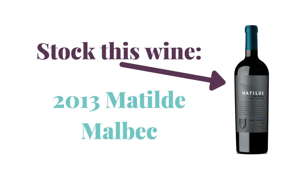 Stock this wine: 2013 Matilde Malbec